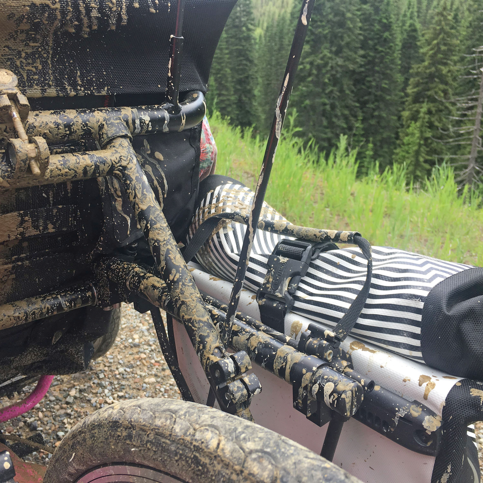 Catrike Rear Rack (Reversible) – TerraCycle, Inc.